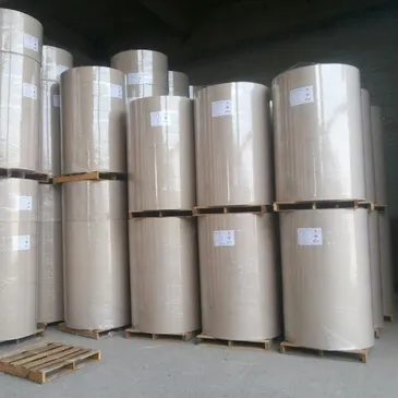 Core Board Rolls - Made In Egypt Gate