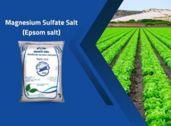Magnesium Sulfate - Emisal - Made In Egypt Gate